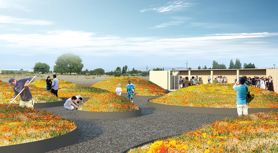 Flowers on Florin | Sacramento, CA - Atlas Lab - Atlas Lab