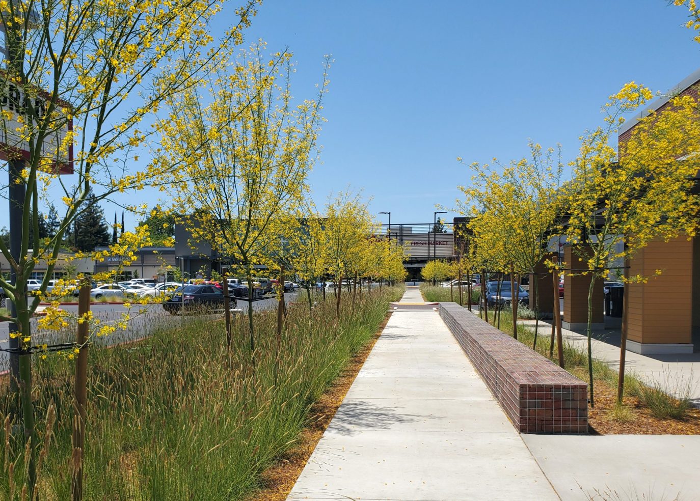 the park - Atlas Lab - Atlas Lab