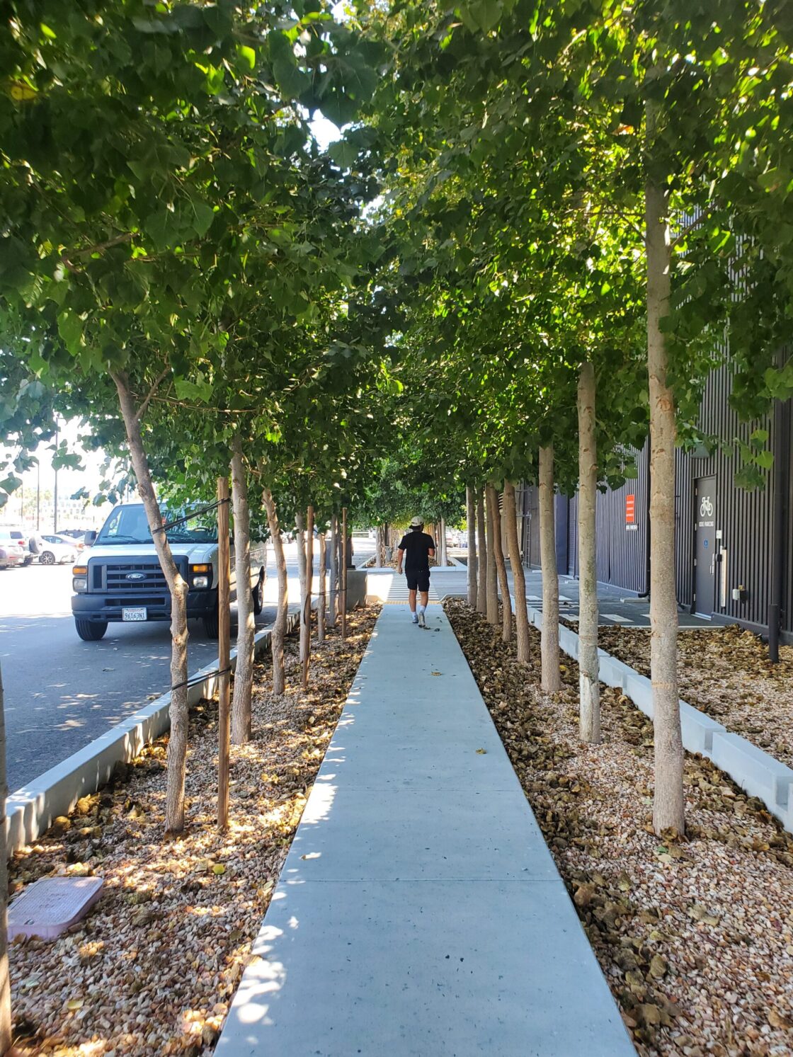 Growing PHYTO - Atlas Lab - Atlas Lab