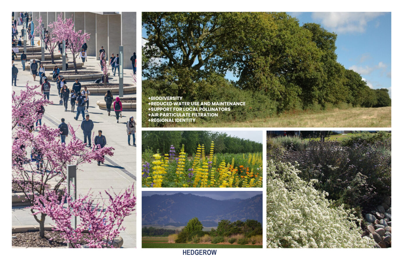 UC Merced Medical Education Building - Atlas Lab - Atlas Lab